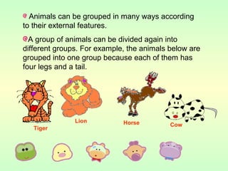 External features of the animals | PPT