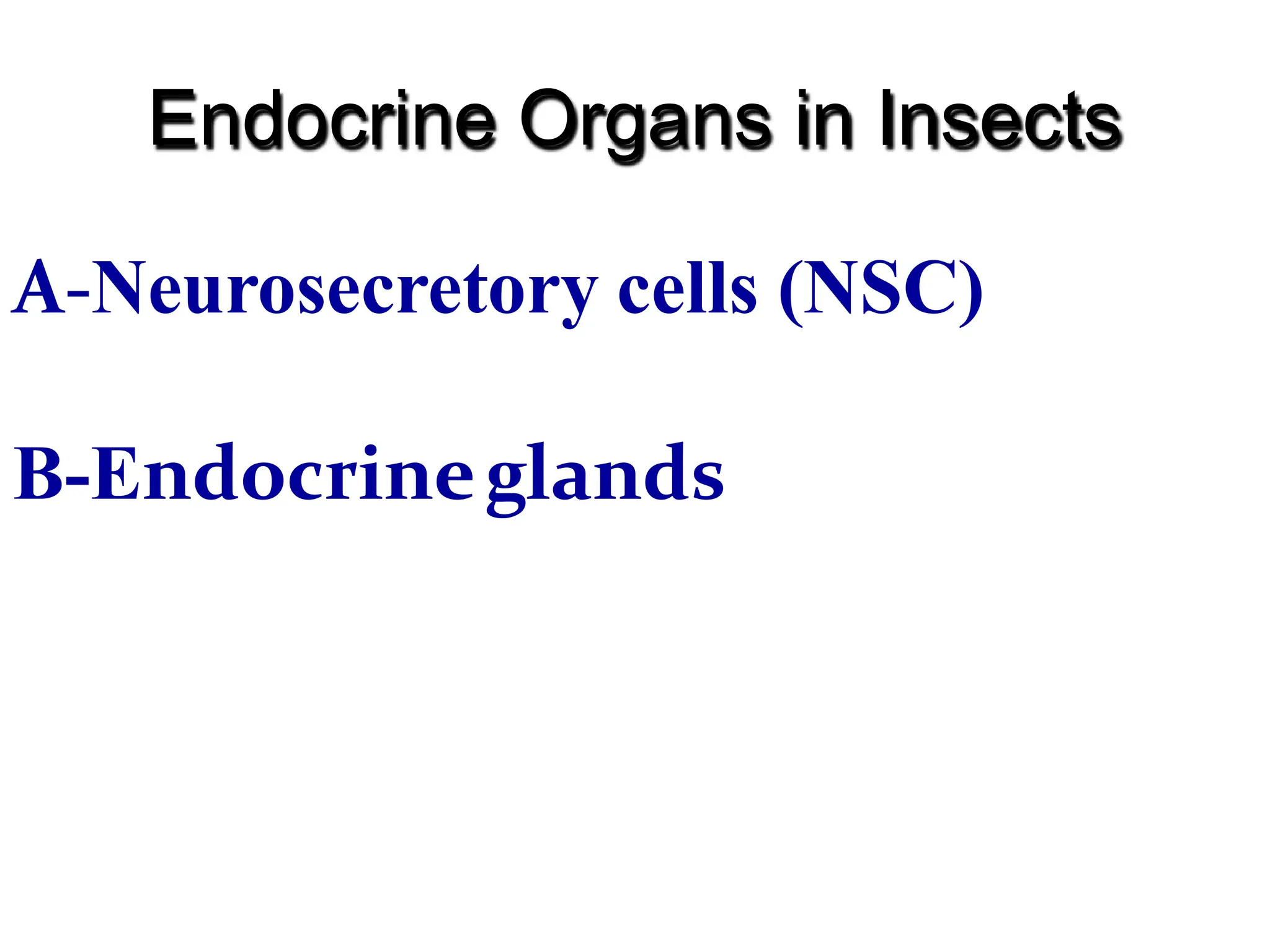 external genetalia and reproductive system, endocrine glands.pptx