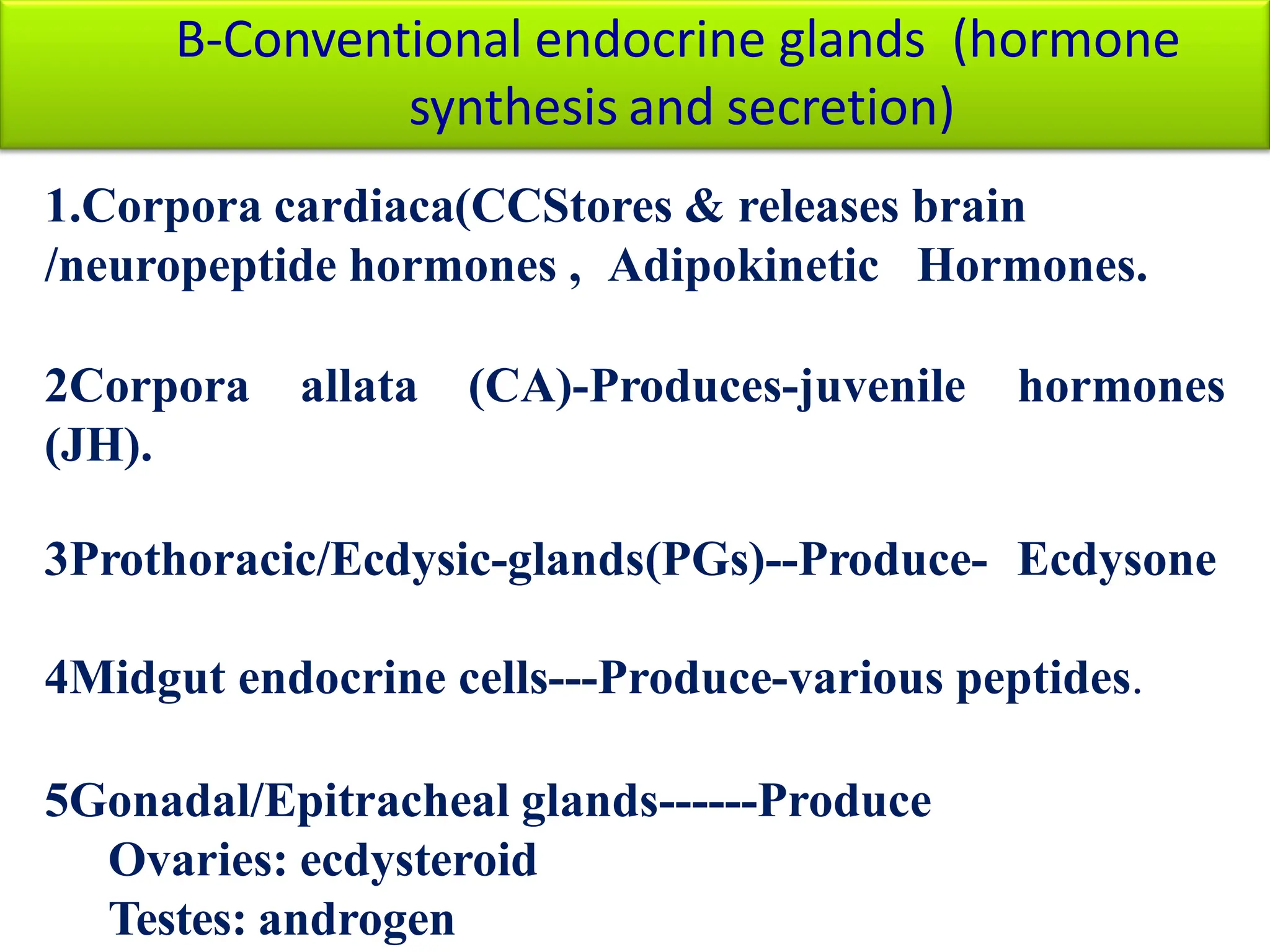 external genetalia and reproductive system, endocrine glands.pptx