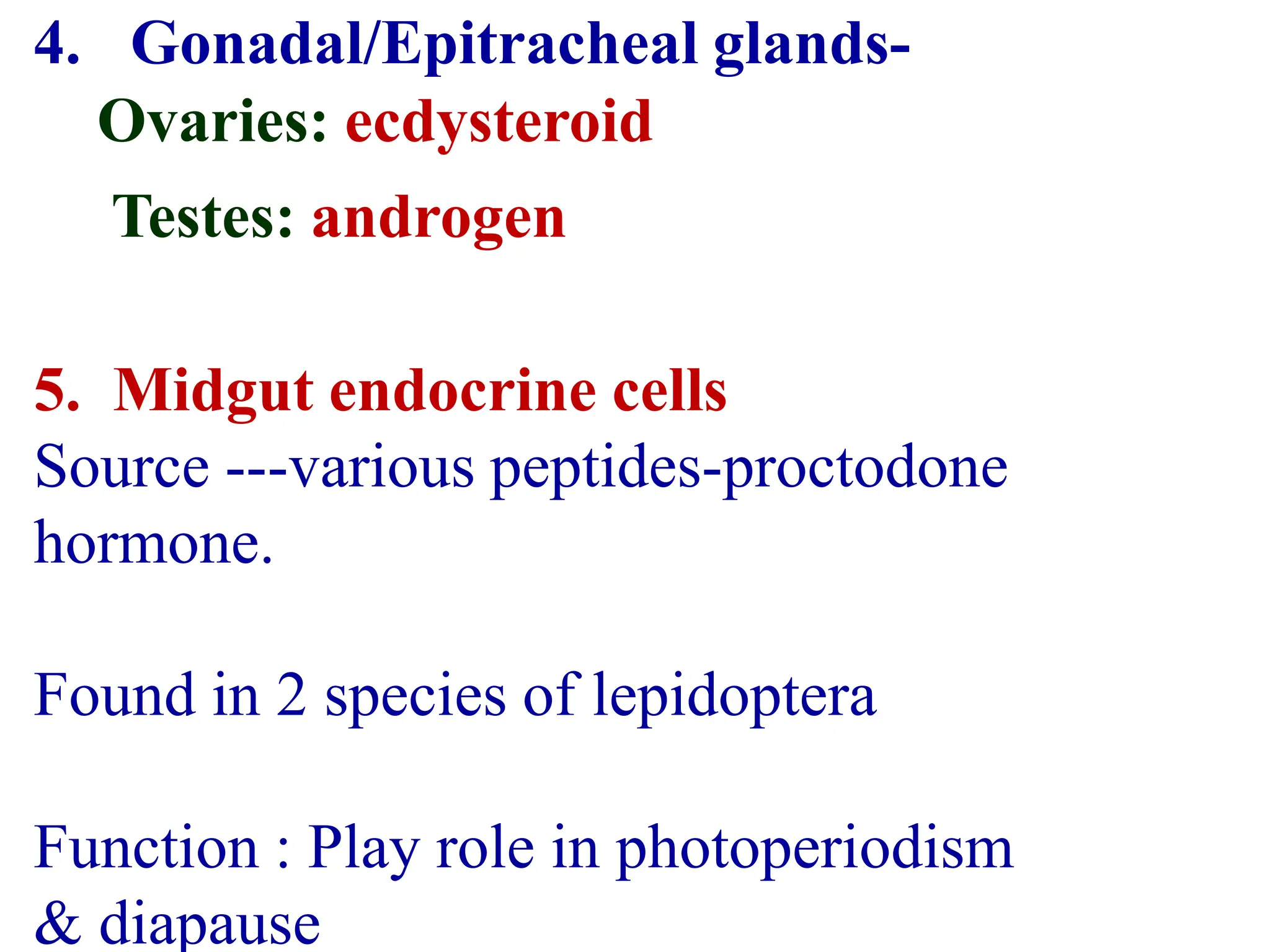external genetalia and reproductive system, endocrine glands.pptx