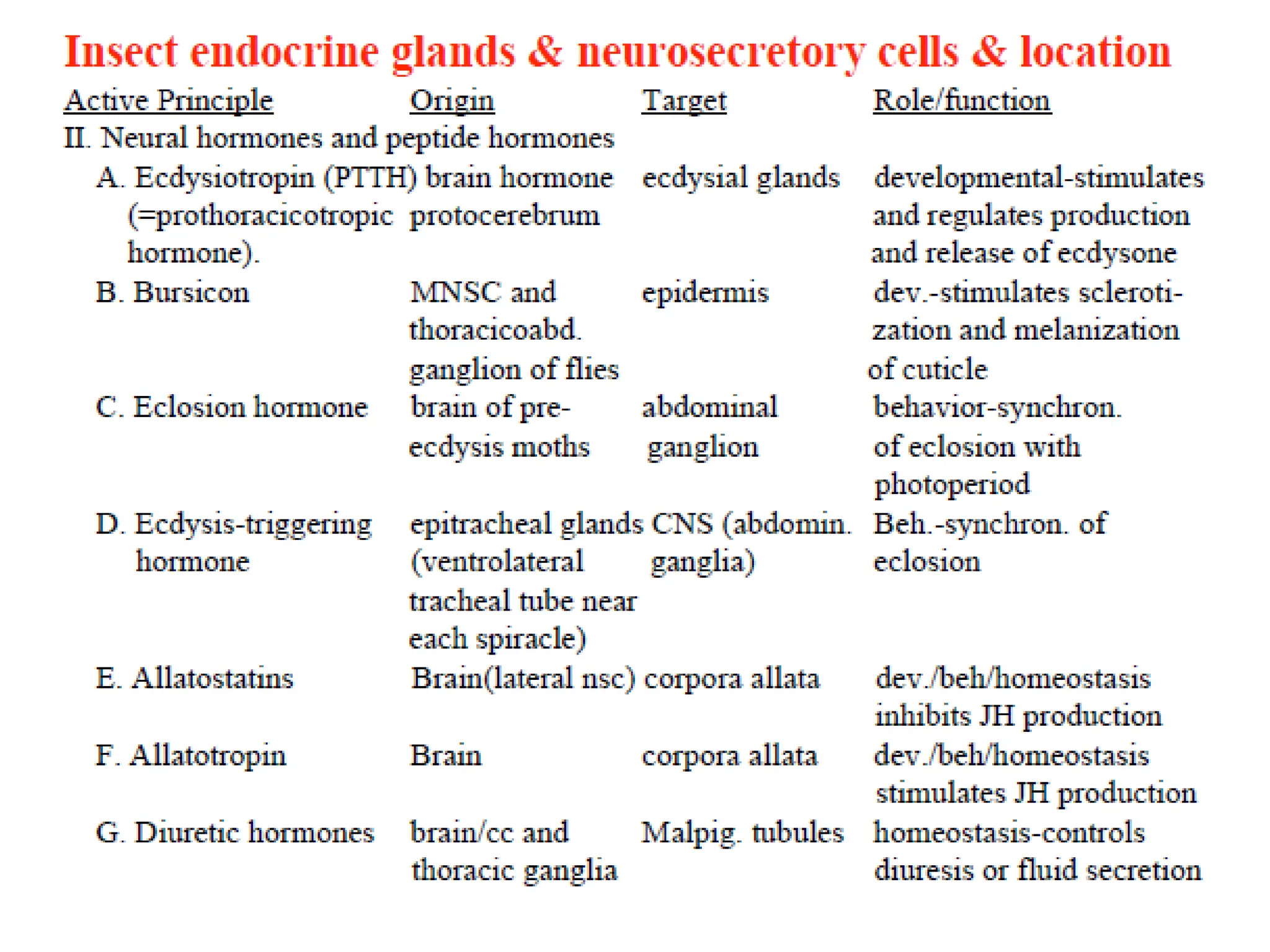 external genetalia and reproductive system, endocrine glands.pptx