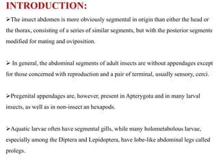 external genetalia and reproductive system, endocrine glands.pptx