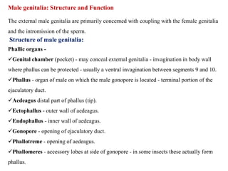 external genetalia and reproductive system, endocrine glands.pptx