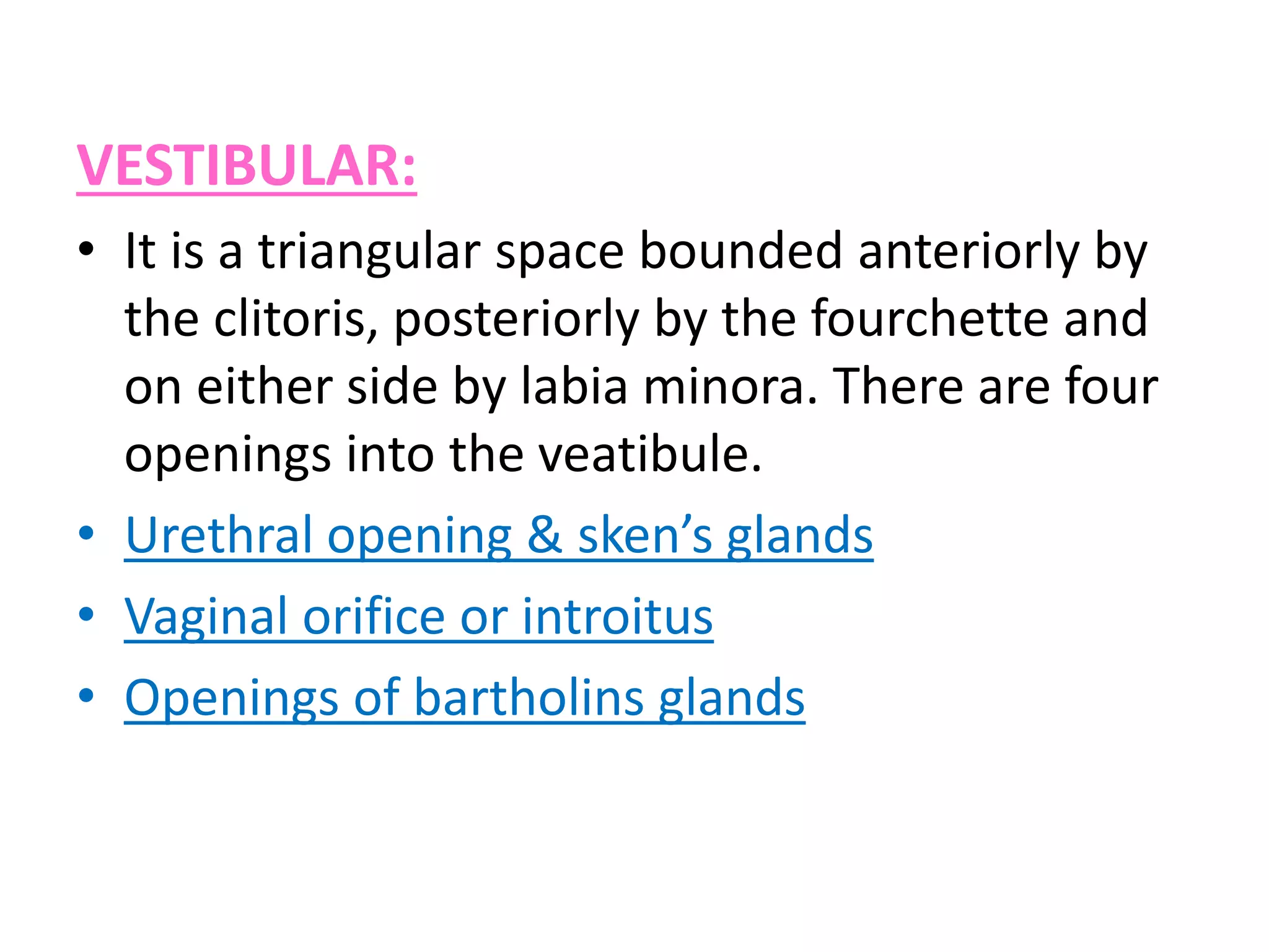 External genitalia | PPTX