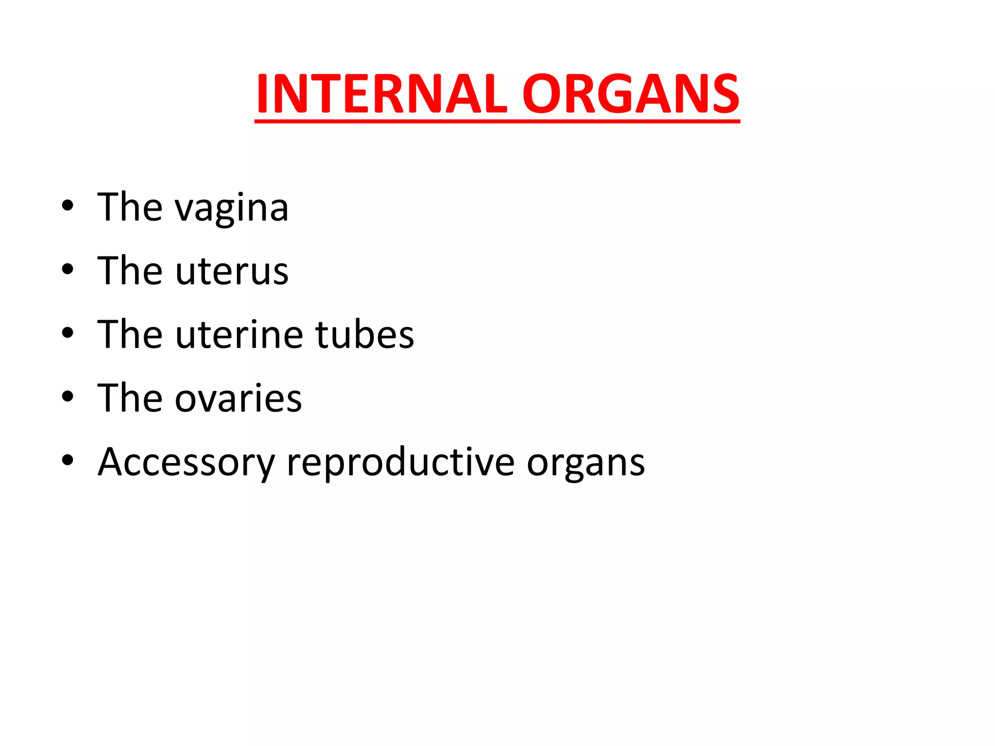 External genitalia | PPTX