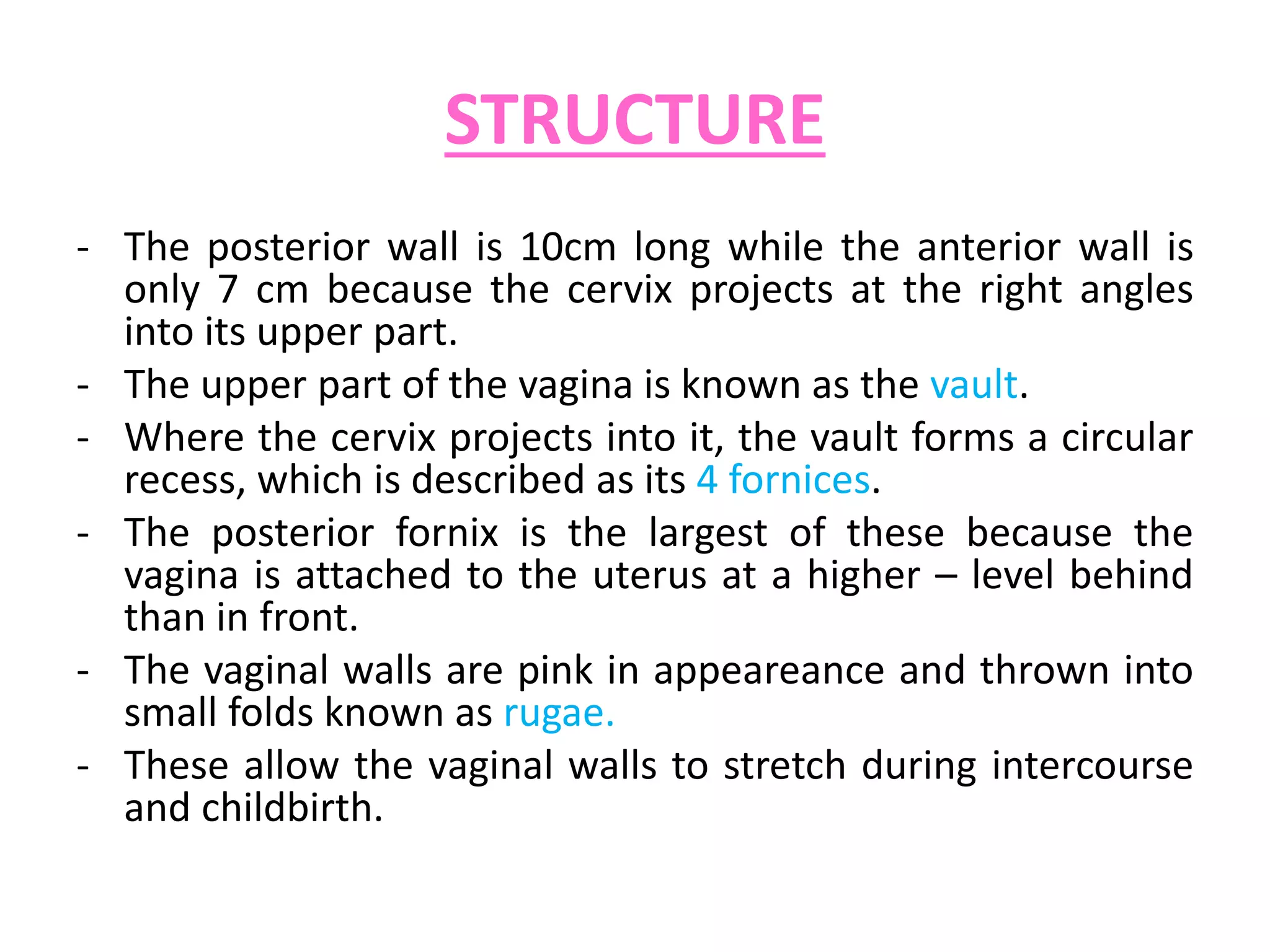 External genitalia | PPTX