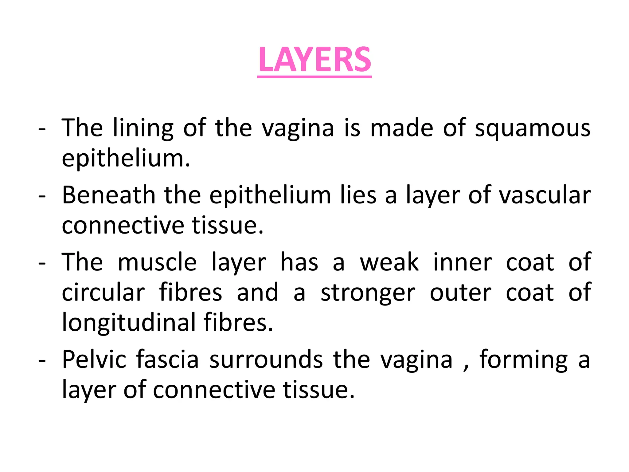 External genitalia | PPTX
