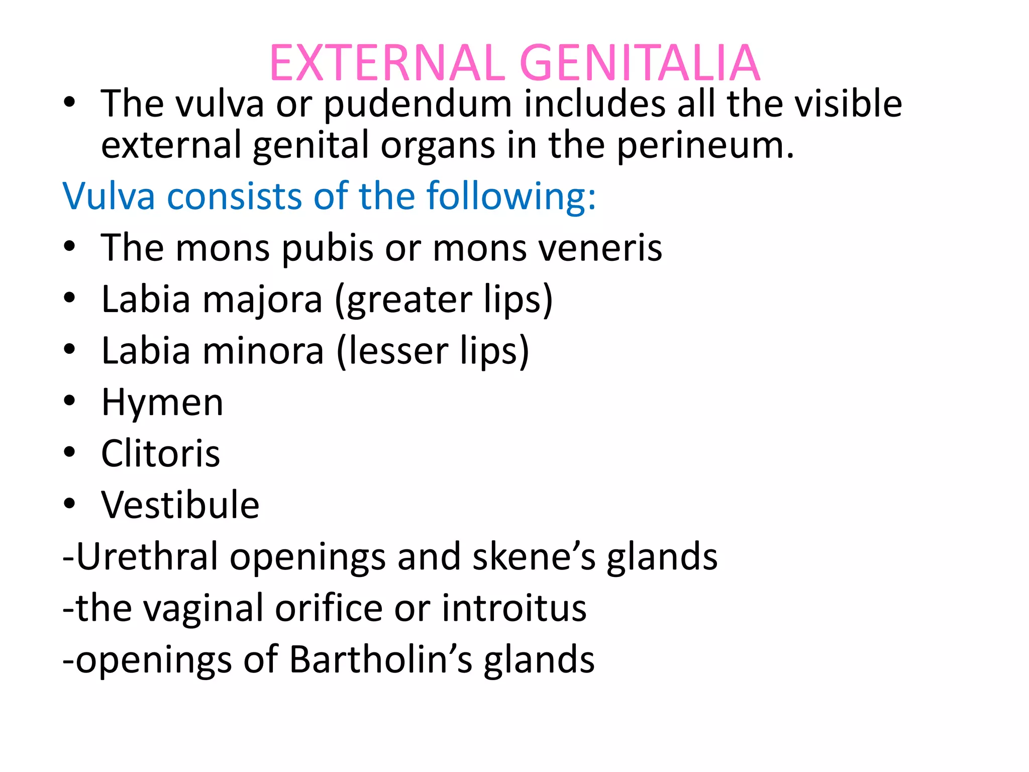 External genitalia | PPTX