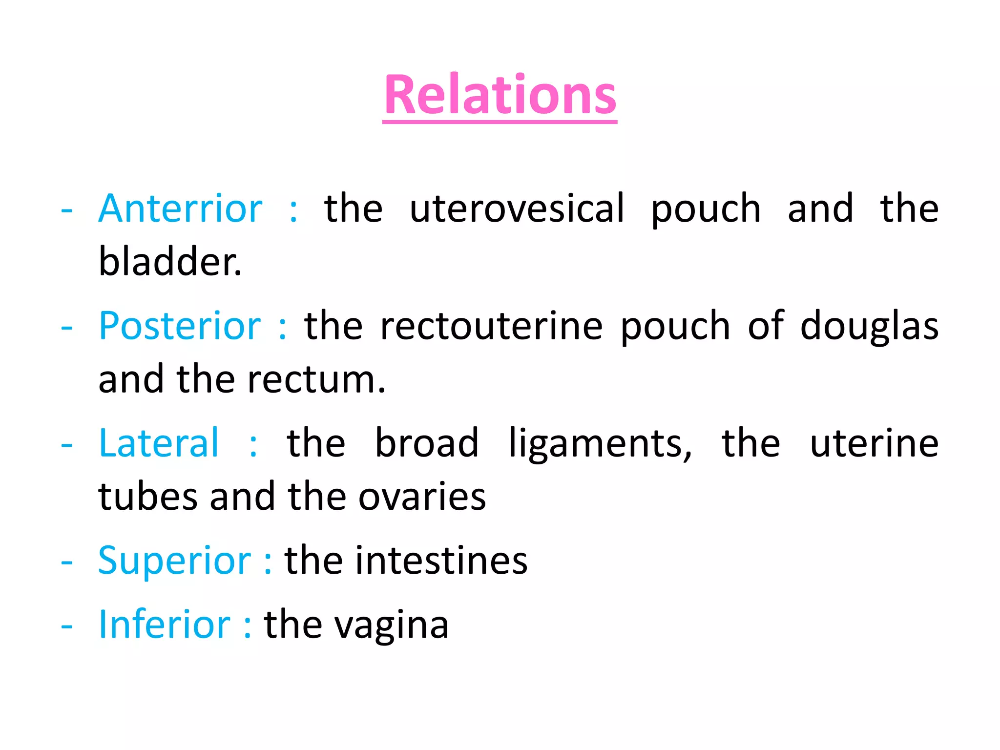 External genitalia | PPTX