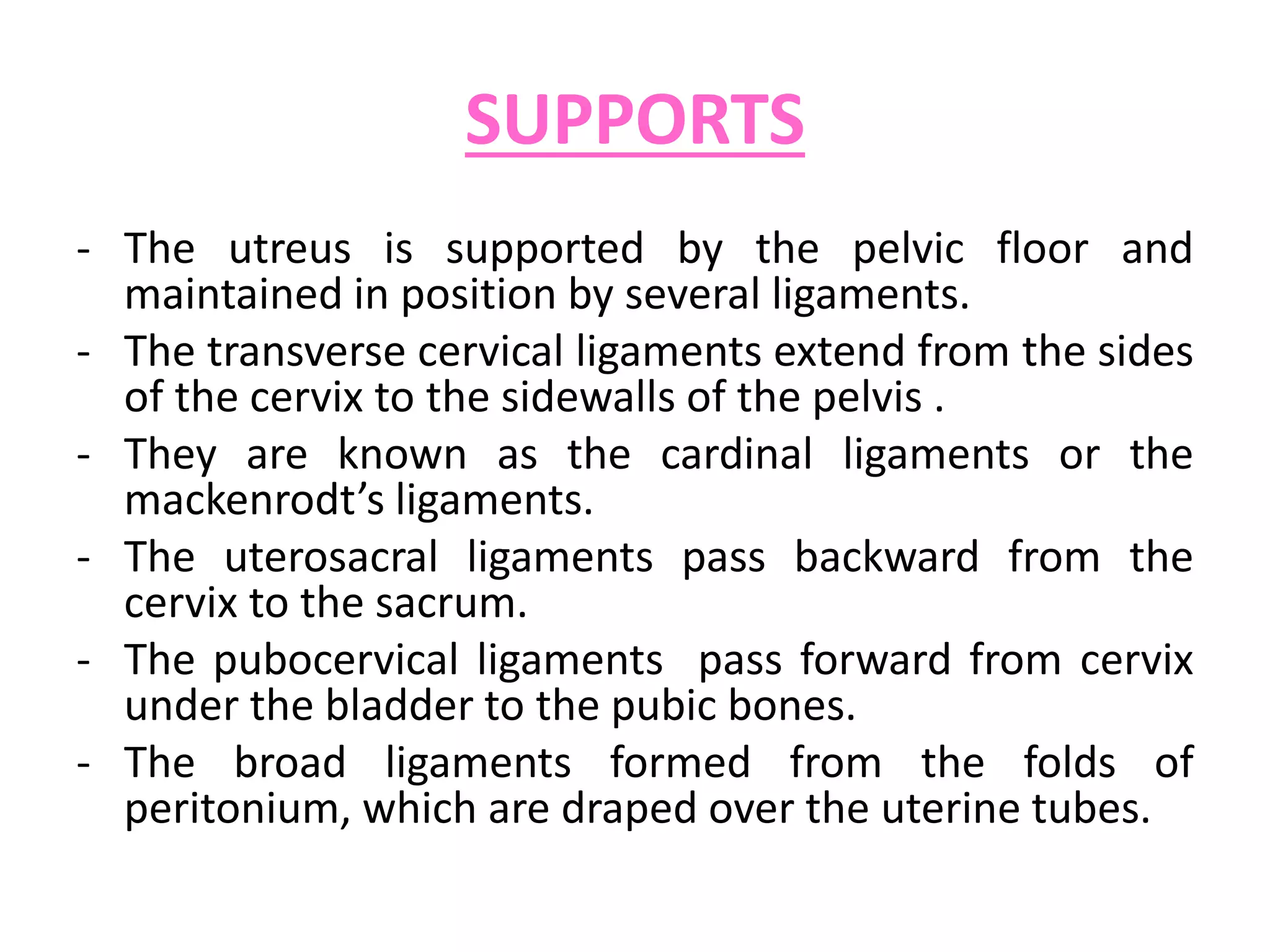 External genitalia | PPTX