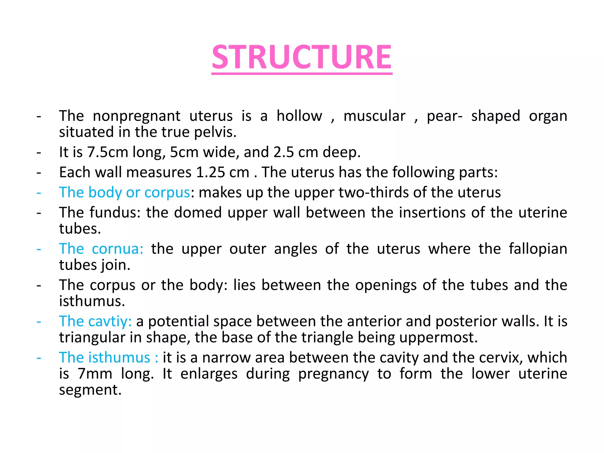 External genitalia | PPTX