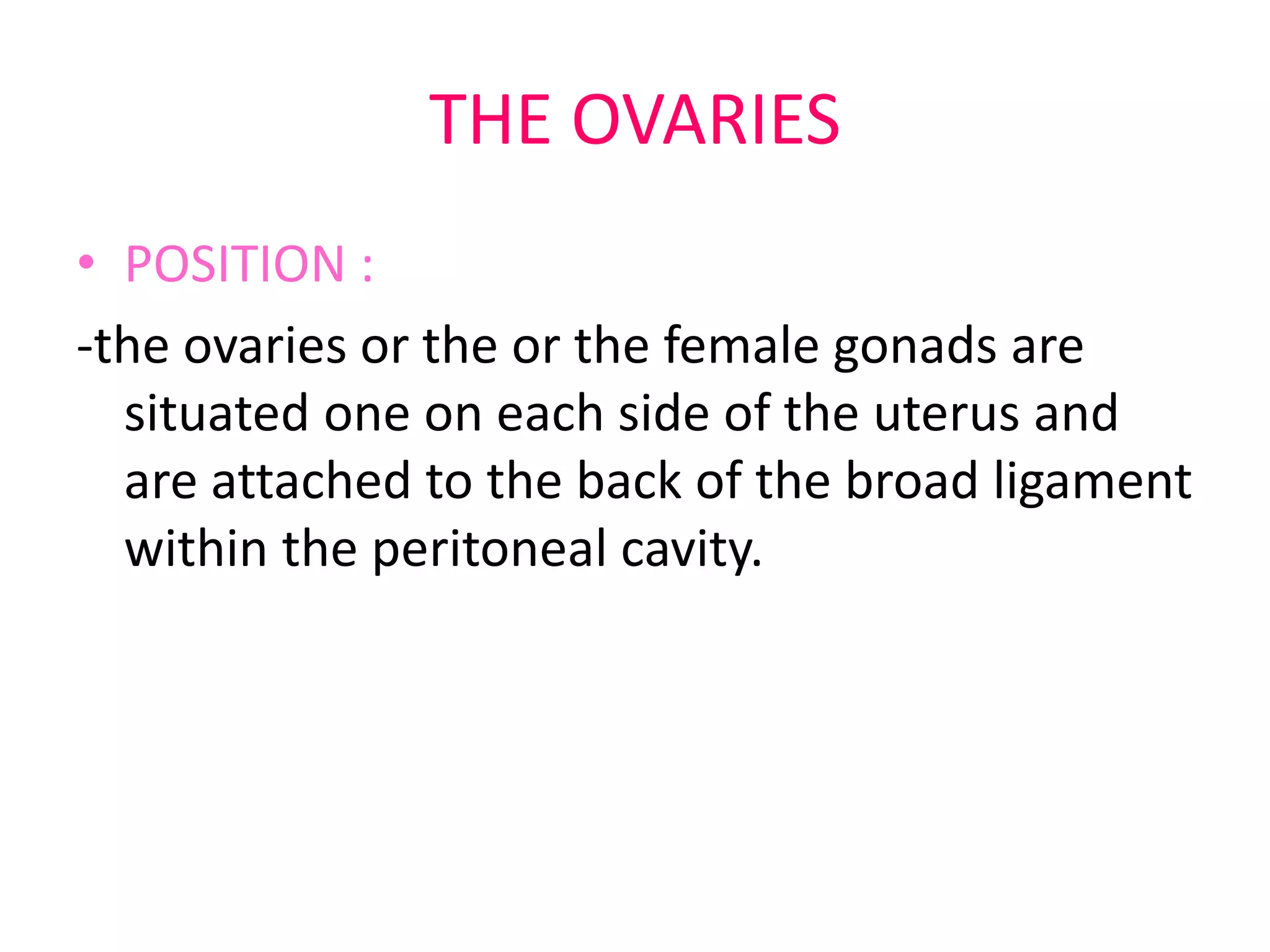 External genitalia | PPTX