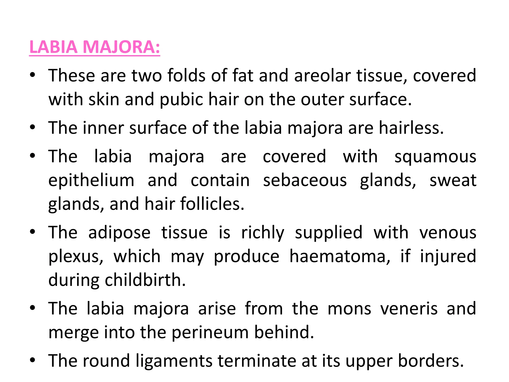 External genitalia | PPTX