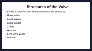External genitalia.pptx