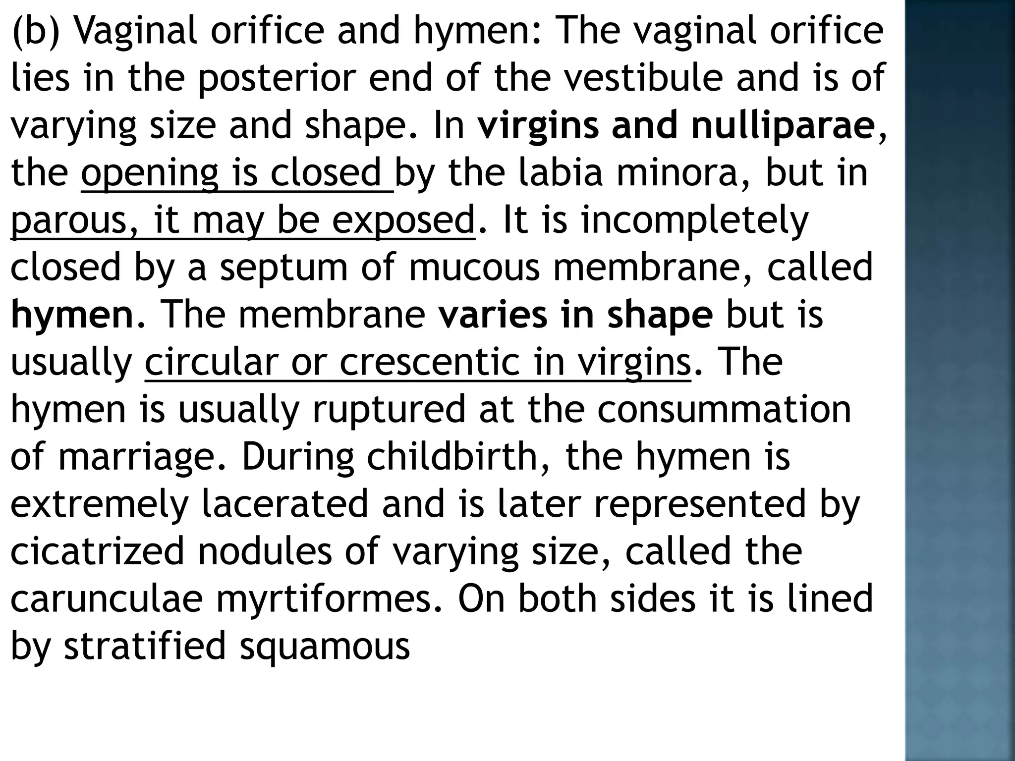 EXTERNAL GENITALIA (1).pptx