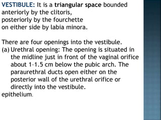 EXTERNAL GENITALIA (1).pptx