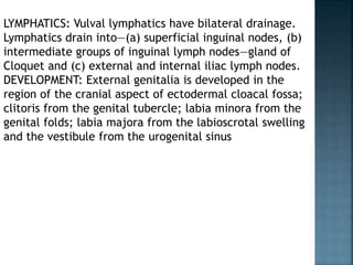 EXTERNAL GENITALIA (1).pptx