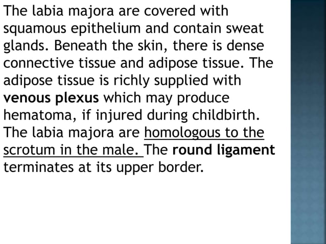 External Genitalia 1 Pptx