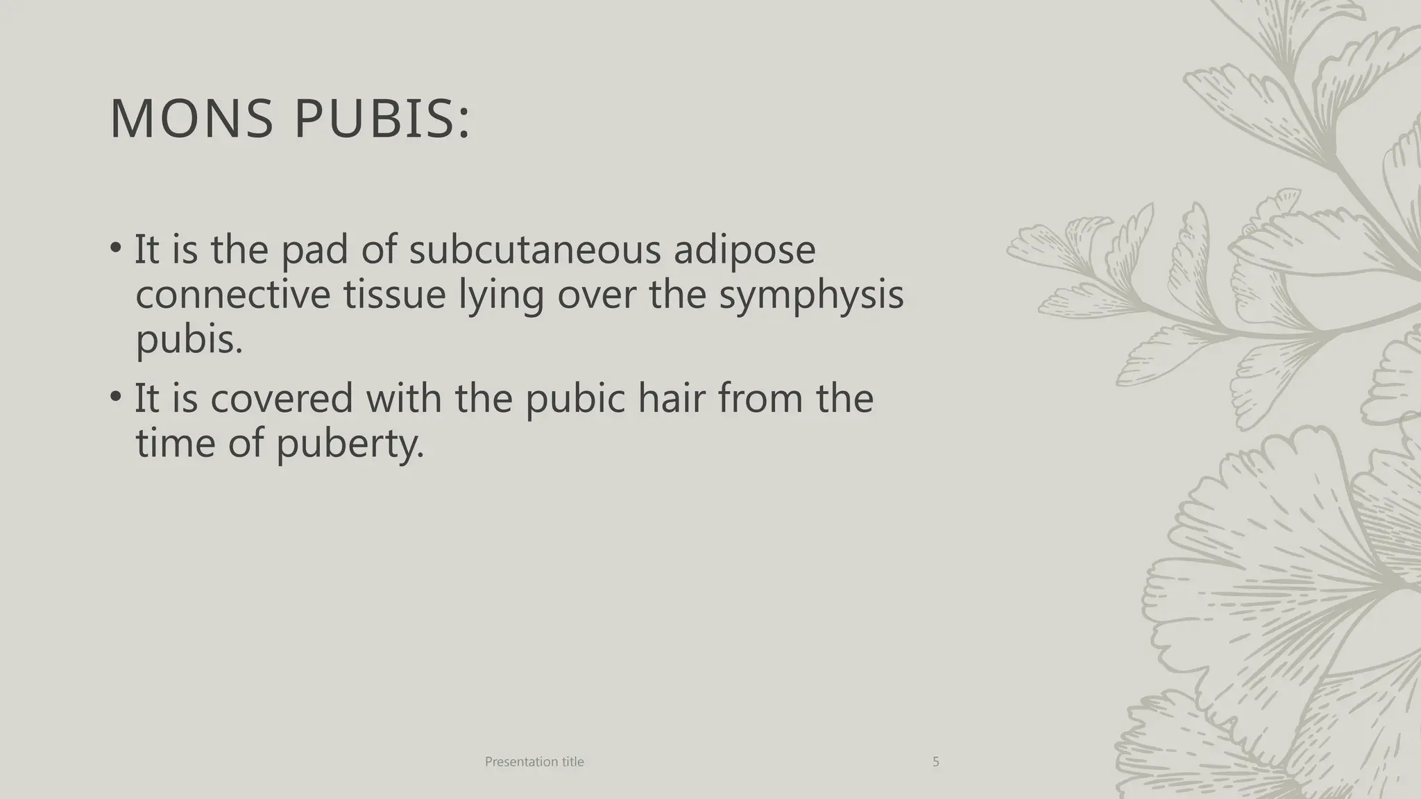 external genitalia vulva.pptx ggg yy yyy | PPTX