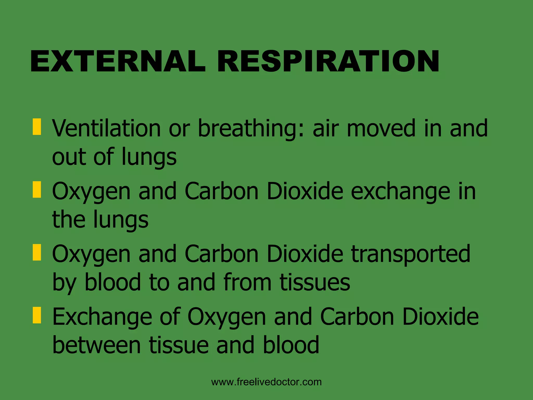 External&Internal Respiration | PPT