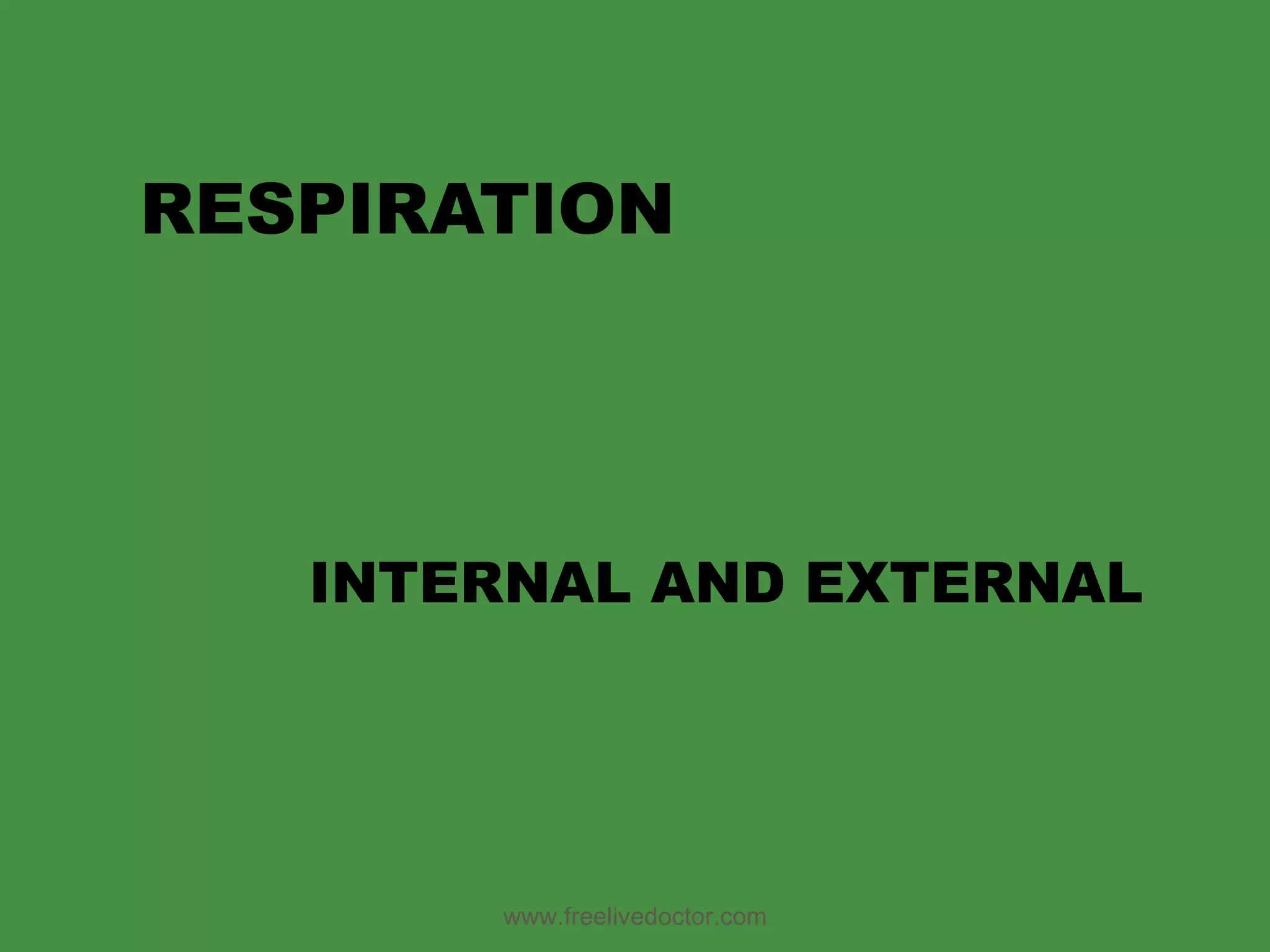 External&Internal Respiration | PPT