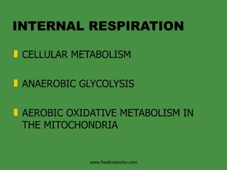 External&Internal Respiration | PPT