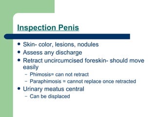 External Male Genitalia.330.No Pix.Gsu