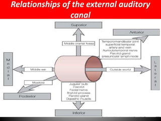 External &middle ear anatomy | PDF