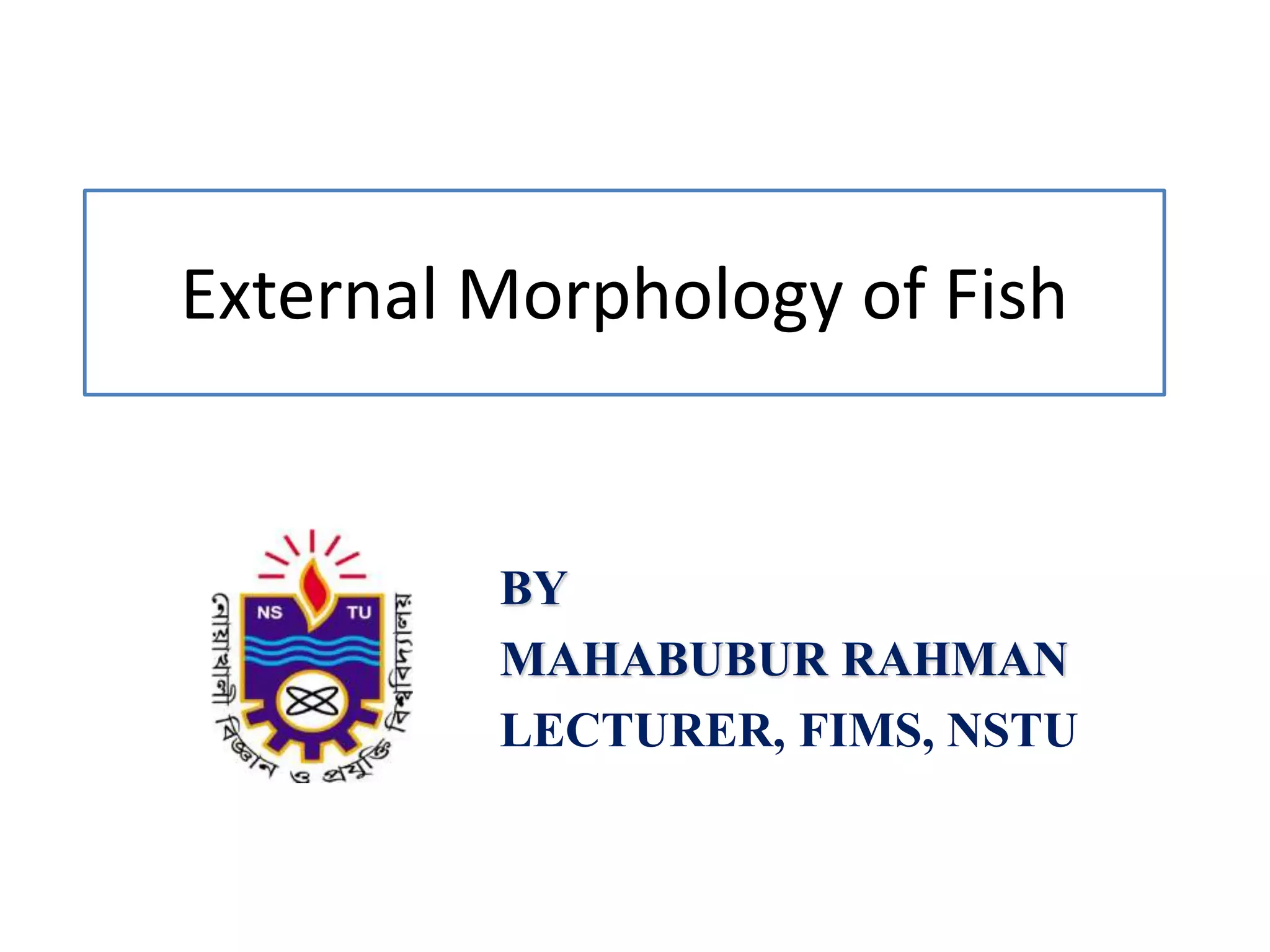 External morphology of fish | PPTX