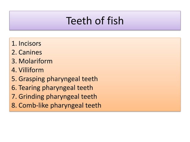 External morphology of fish | PPTX