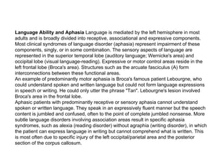 External Morphology Of The Cerebrum | PPT