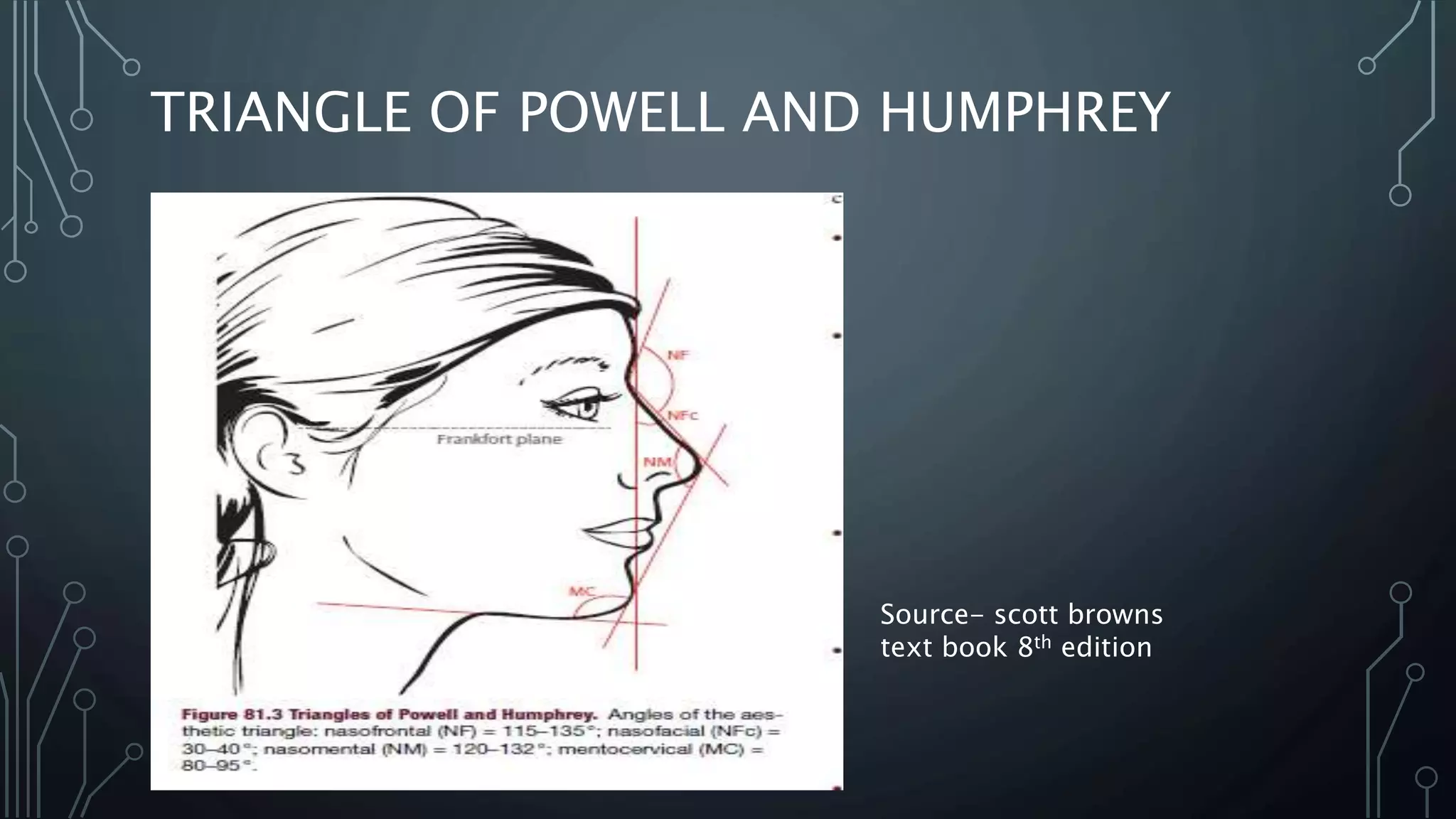 External nasal anatomy | PPTX