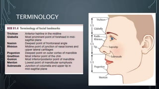 External nasal anatomy | PPTX