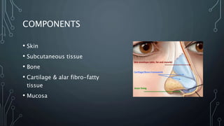 External nasal anatomy | PPTX