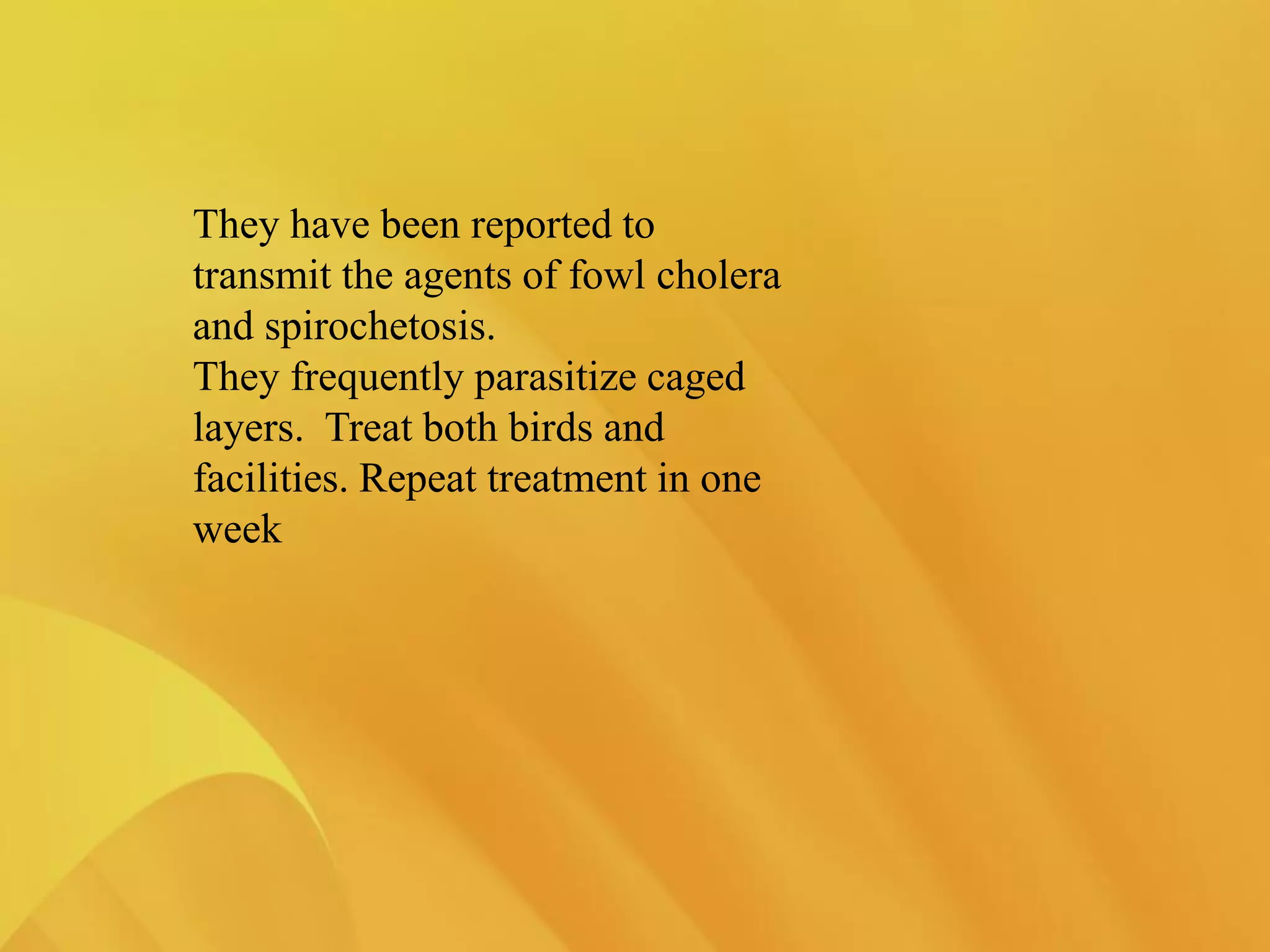 poultry diseases external parasites | PDF