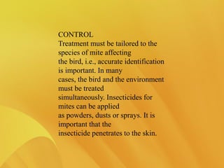 poultry diseases external parasites | PDF