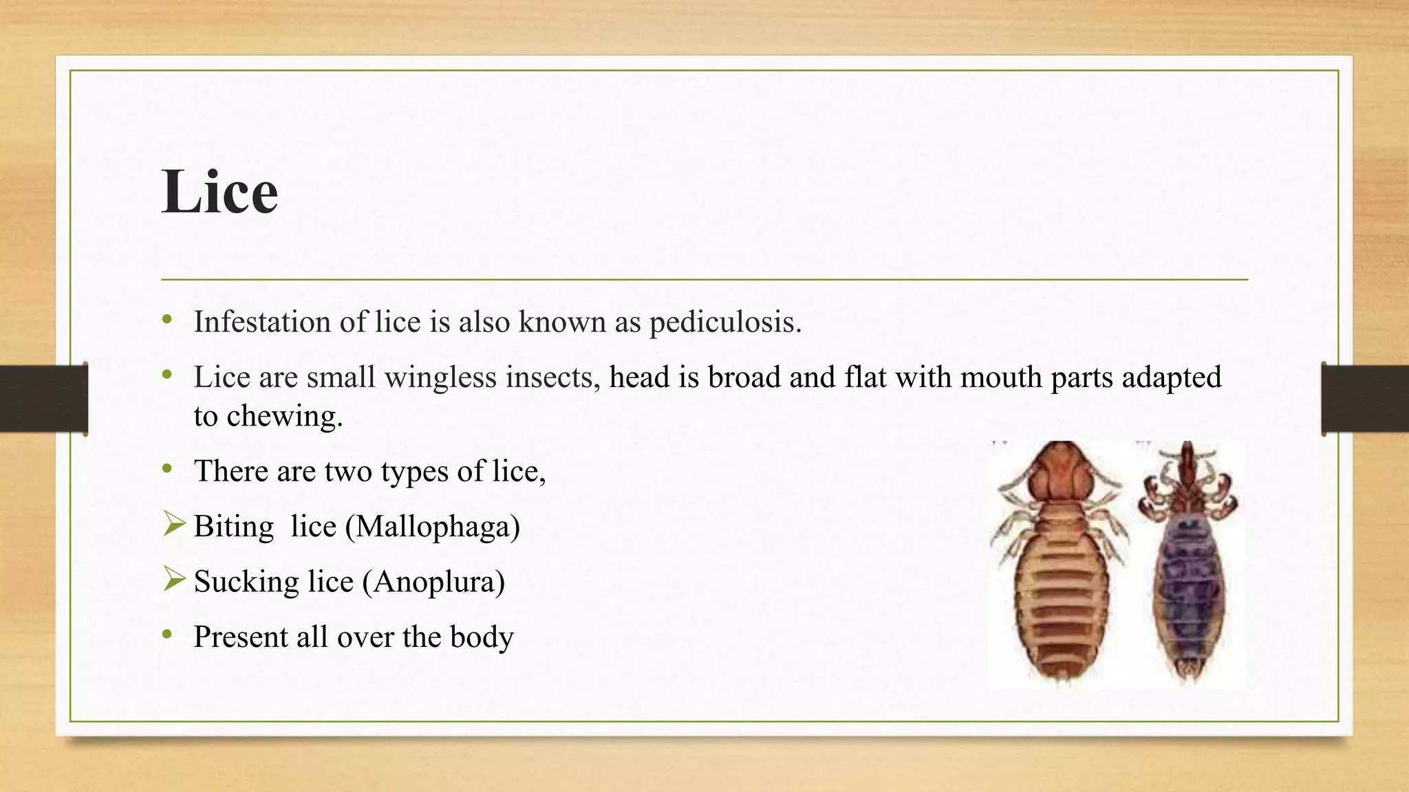 External parasites of Sheep and Goat.pptx