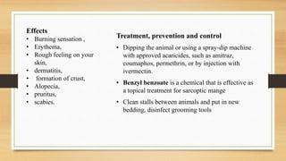 External parasites of Sheep and Goat.pptx