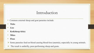 External parasites of Sheep and Goat.pptx