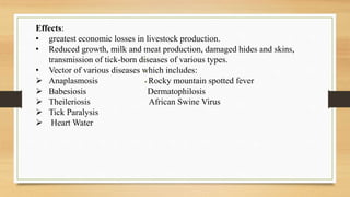 External parasites of Sheep and Goat.pptx