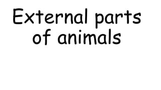 External parts of animals Science 6.pptx