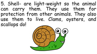 External parts of animals Science 6.pptx