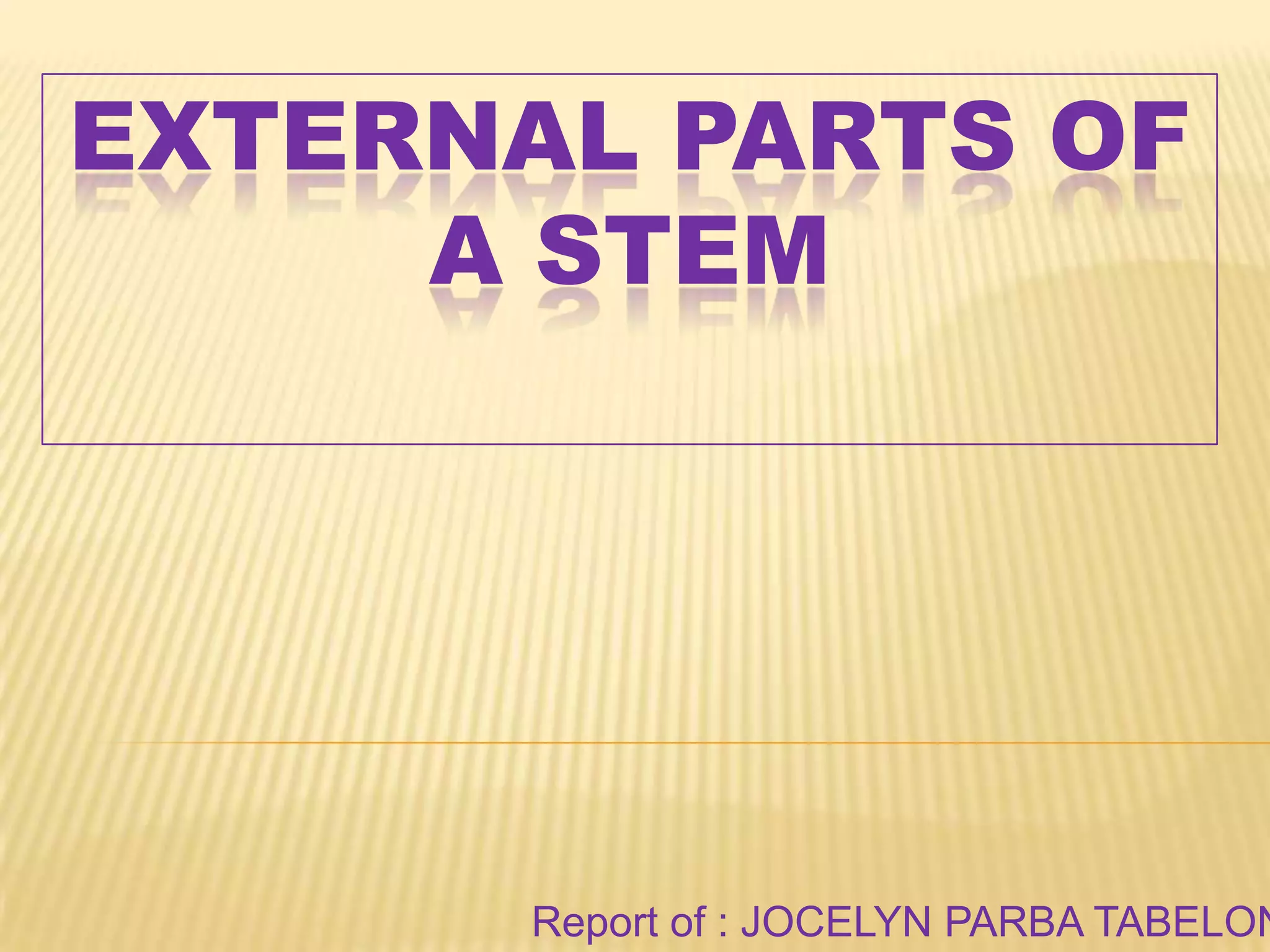 External parts of a stem | PPTX