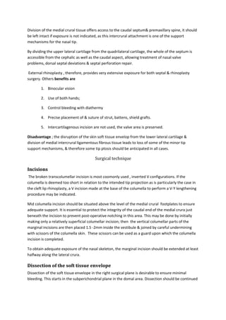 External rhinoplasty | DOC