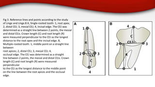 External Root Resorption During Orthodontic.pptx