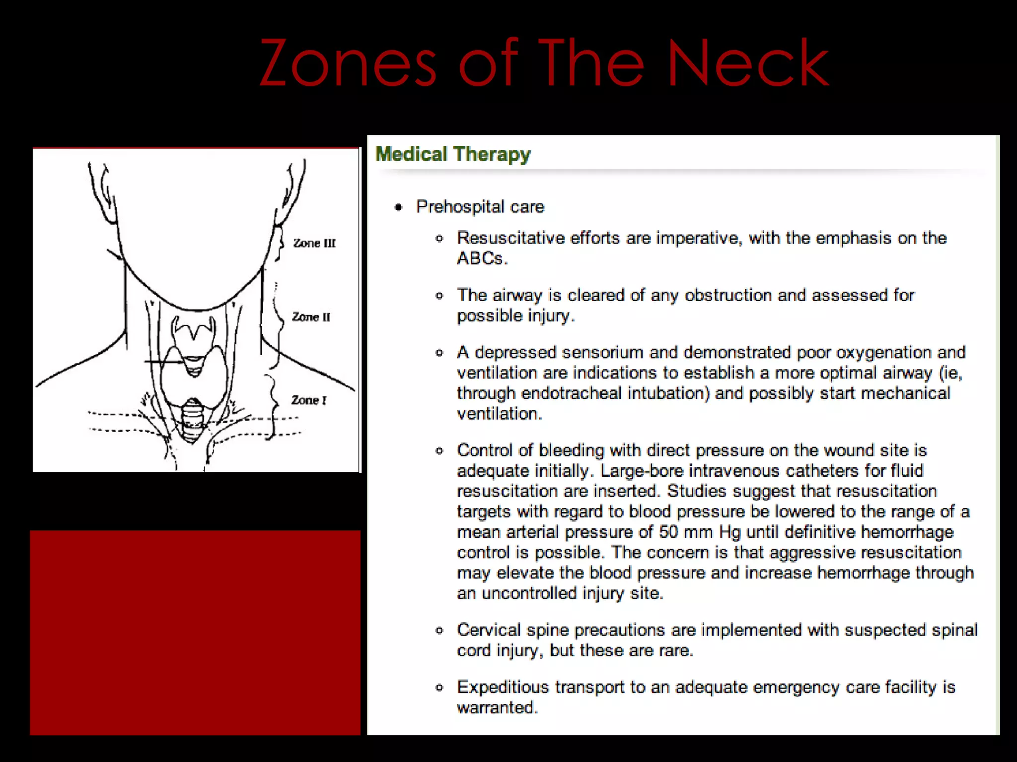 External signs of internal injuries tfinal | PPT