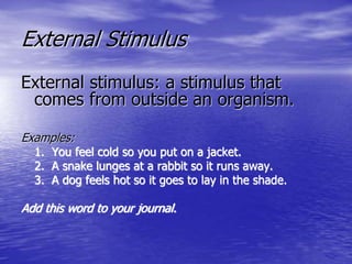 external_stimuli (1).ppt