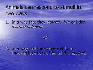 external_stimuli (1).ppt