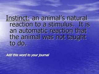 external_stimuli (1).ppt