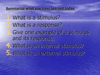 external_stimuli (1).ppt